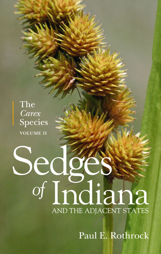 Periodical Cicadas: The Plague and the Puzzle | Indiana Academy of Science